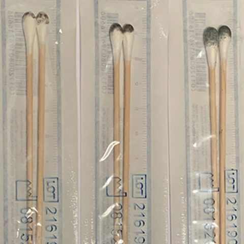 P. Cubensis "Thai Pink Buffalo" Spore Swab Pack - Sonoran Spores